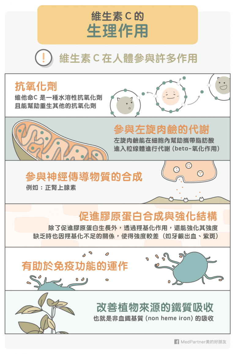維他命c的功效和副作用有哪些？吃多真的會結石嗎？ 美的好朋友